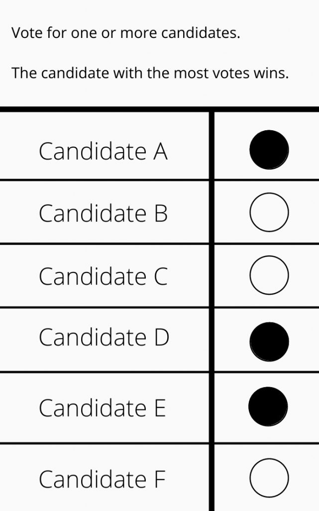Alternative Voting Methods | Democracy Policy Network
