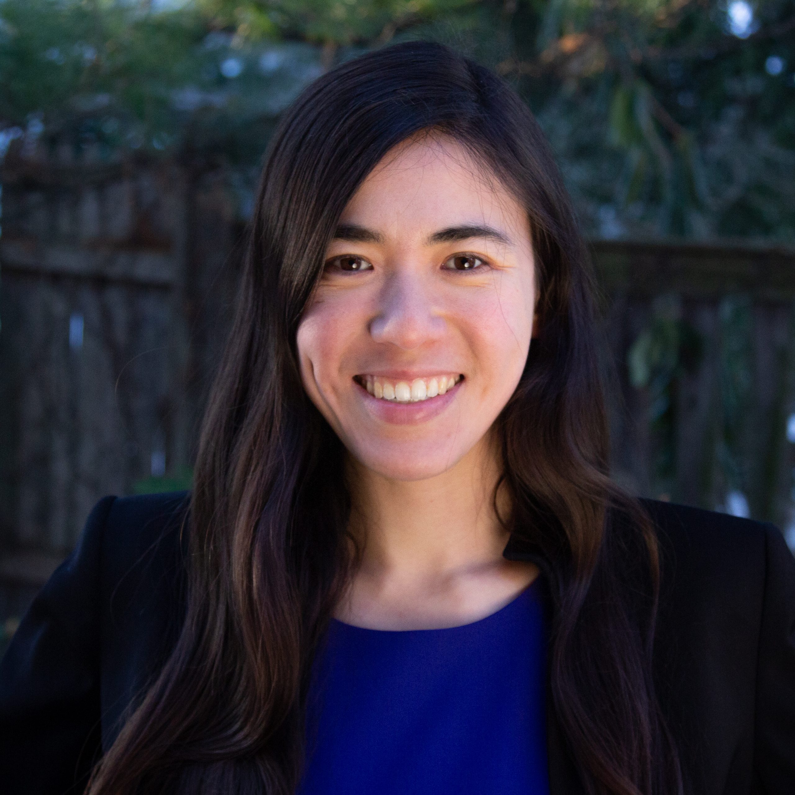 The Network | Democracy Policy Network