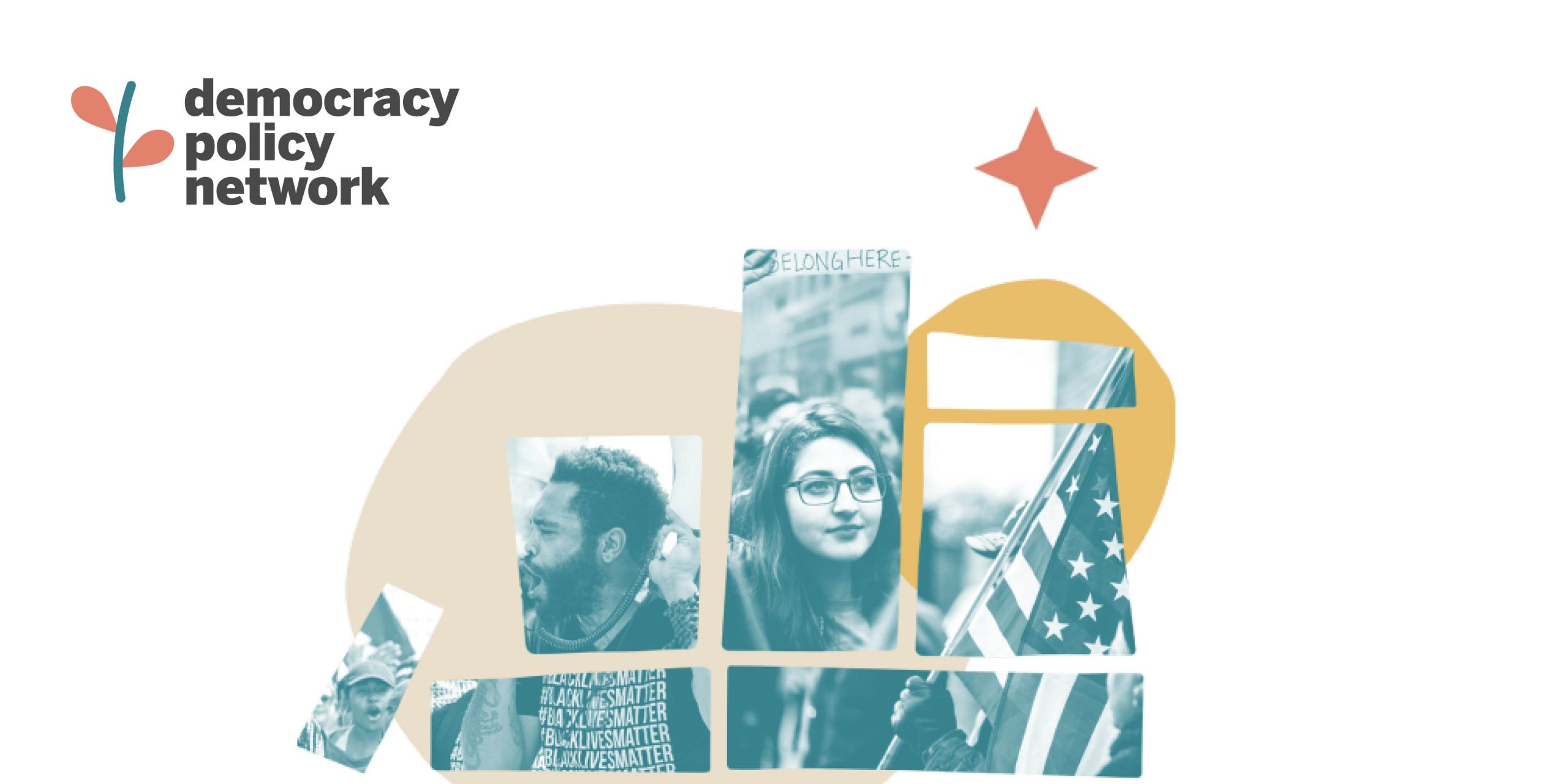 Democracy Policy Network