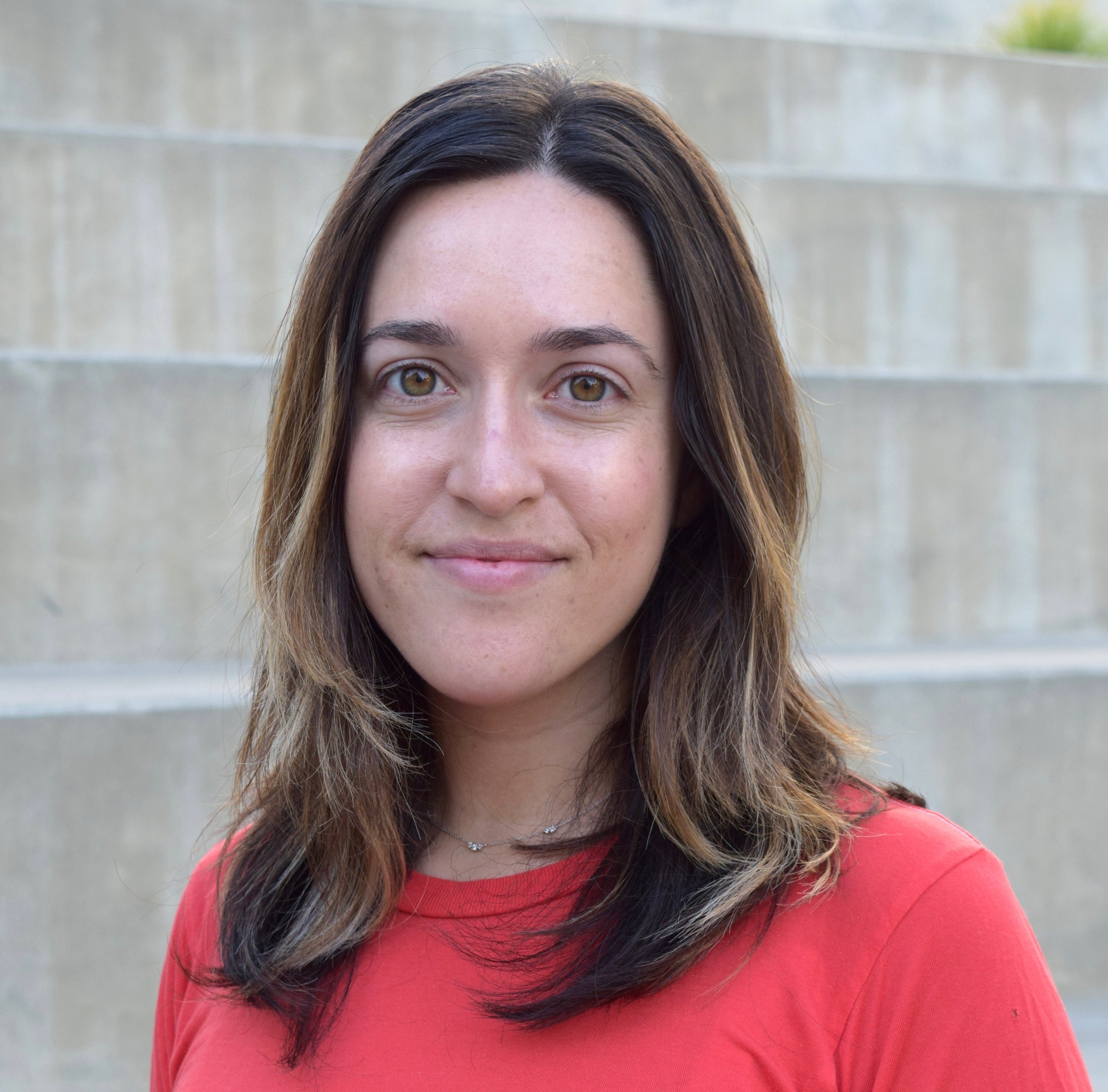 The Network | Democracy Policy Network