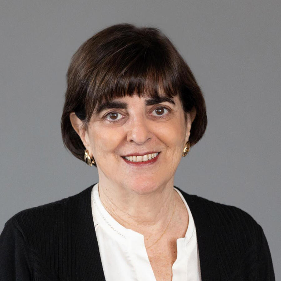 The Network | Democracy Policy Network