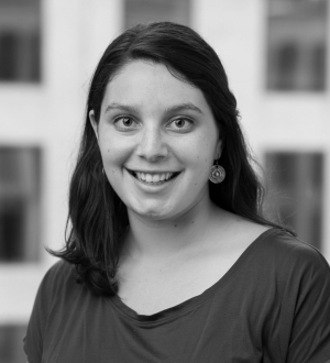 The Network | Democracy Policy Network